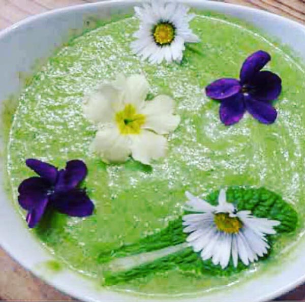 Spinach Velouté: Creamy and Nourishing Soup
